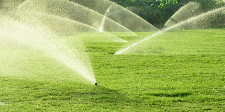 What Is The Difference Between Drip Irrigation And A Sprinkler System? What Is The Difference Between Drip Irrigation And A Sprinkler System?